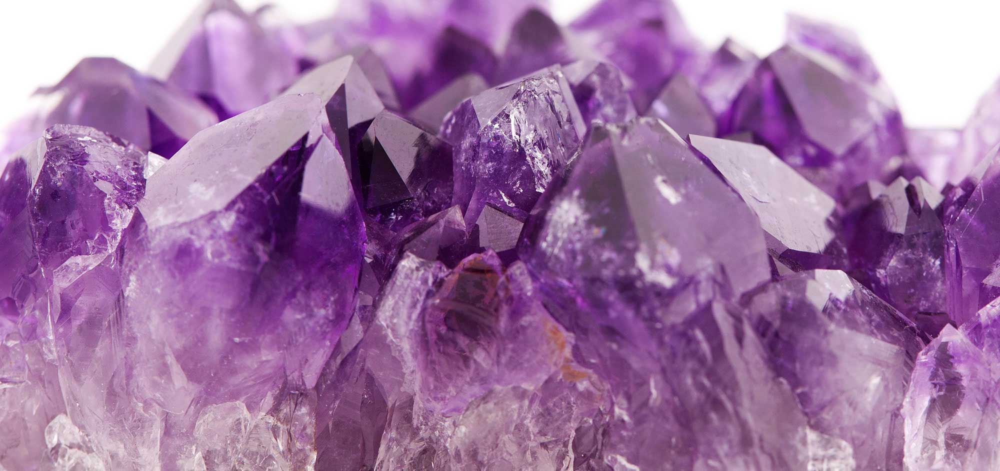 Stone Science Museum - Fossils & Dinosaurs - Anglesey North Wales