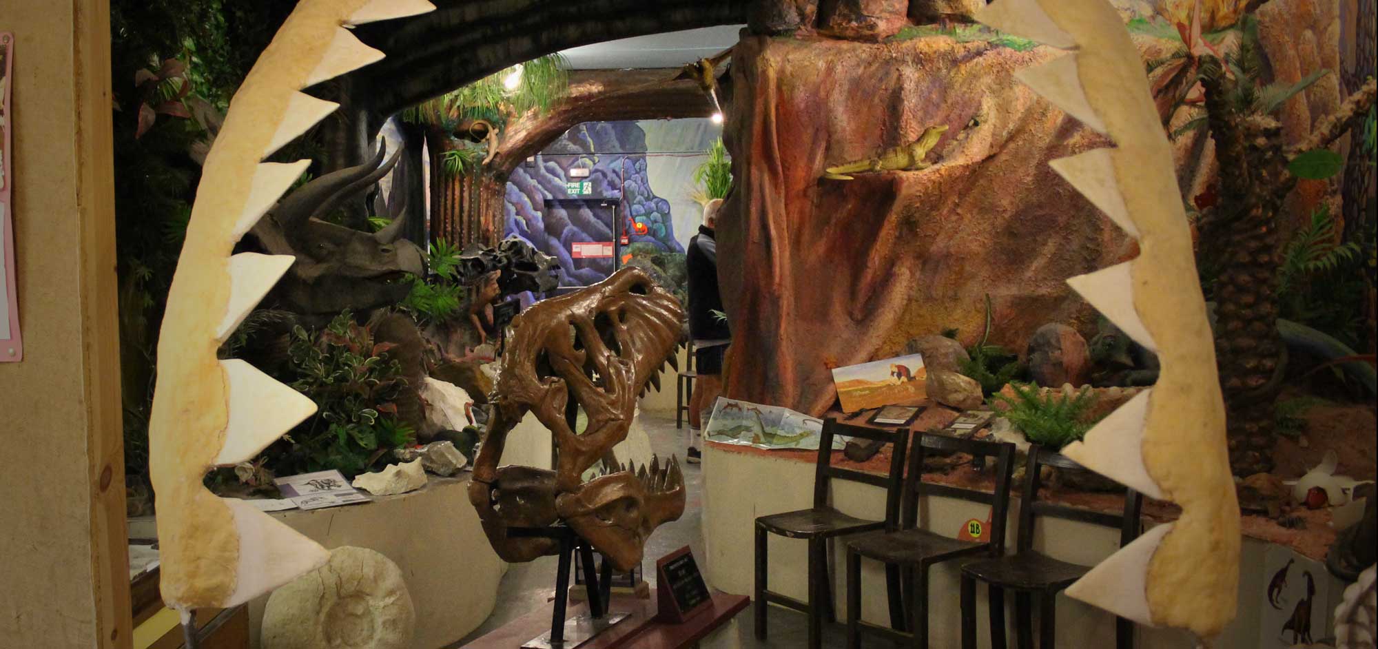 Stone Science Museum - Fossils & Dinosaurs - Anglesey North Wales